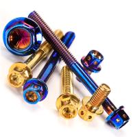 China 304 Stainless Steel Hollow Hex Flange Screw With Washer, Burnt Titanium Color Bolt, Motorcycle & Electric Bike Modification Fastener M5 M6 M8 for sale