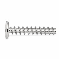 China CB plus hard nickel plated large head cross thin head flat tail self-tapping screws electronic small screws wholesale M2.3/M3 for sale