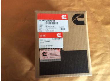China Cummins  ISDe engine  Piston Kit 4955642 for sale