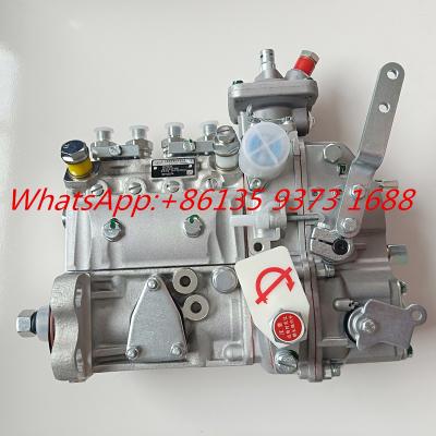 China Cummins 4bt3.9-C80 engine Fuel Injection Pump 3973845 for generator for sale