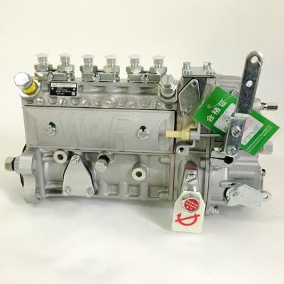 China DONGFENG Cummins 6bt5.9-G1 Engine Fuel Injection Pump 3976801 for generator for sale