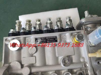China Genuine Cummins 6CT8.3-C260 diesel Engine Fuel Pump 4944742 5260259 4946960 3975927 5266067 4989873 for sale