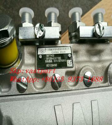 China Genuine Cummins 6BT5.9-C135 Diesel Engine Fuel Injection Pump 3977402 for sale