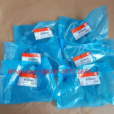 China Cummins QSB6.7 diesel Engine part Fuel Supply Tube 3978031 3978032 3978034 3978036 for sale