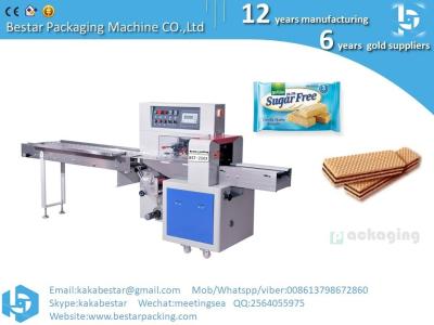 China Chocolate Wafer Biscuits 100g Sachet Pack High Quality Cracker Snack for sale
