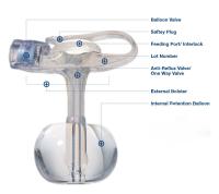 China Medical Grade Silicone Low Profile Button Gastrostomy Tube 12Fr to 24Fr for sale