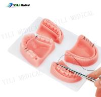 China Realistic Oral Touch Wound Suture Practice Pad For Dental Education for sale