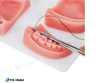 China Realistic Oral Touch Wound Suture Practice Pad For Dental Education for sale