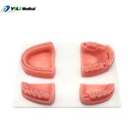 China Realistic Oral Touch Wound Suture Practice Pad For Dental Education for sale