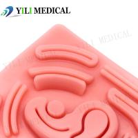 China Ultralarge Abdominal Cavity Silicone Simulation Pad Laparoscopic Suture Practice Training Model Pad for sale