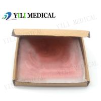 China Ultralarge Abdominal Cavity Silicone Simulation Pad Laparoscopic Suture Practice Training Model Pad for sale