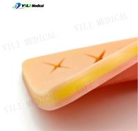 China Three Layers Skin Structure Silicone Suture Pad Practice Kits Medical Suturing Pad Kit for sale