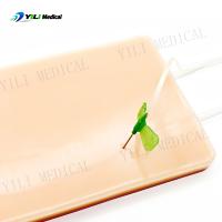 China Silicone Venipuncture Practice Pad Skin Color IV Training Pad for Medical Students Nurse 10ml for sale