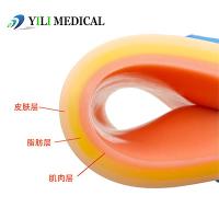 China Professional Silicone Skin Suture Practice Pad With Box For Surgery Practice And Training for sale