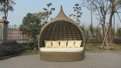 China Tear Drop Shape Outdoor Rattan Daybed For Swimming Pool / Poolside for sale