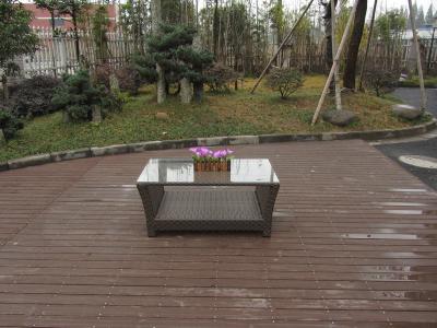 China garden rattan sofa for sale