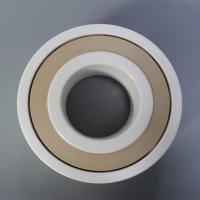 China PTFE Seals Full Ceramic Bearing Wear Resistance Angular Contact Bearings Waterproof for sale