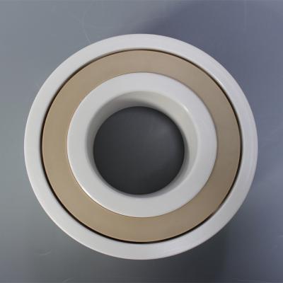 China PTFE Seals Full Ceramic Bearing Wear Resistance Angular Contact Bearings Waterproof for sale