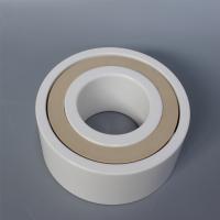 China PTFE Seals Full Ceramic Bearing Wear Resistance Angular Contact Bearings Waterproof for sale