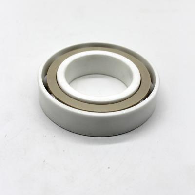 China Double Seal Full Ceramic Bearing High Precision Silicon Nitride Ceramic Ball Bearings P0 P6 P5 for sale