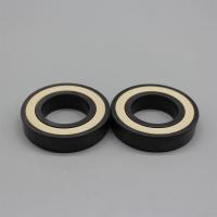 China Double PEEK Seals Full Ceramic Bearing P5 Ceramic Deep Groove Ball Bearings for sale