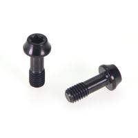 China Black PVD Stainless Steel Decorative Screws A2-50 Grade Torx Drive M2-M10 Size Range with 20+ Years Custom Manufacturing for sale
