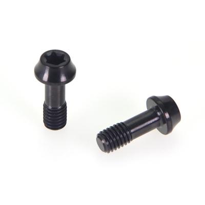 China Black PVD Stainless Steel Decorative Screws A2-50 Grade Torx Drive M2-M10 Size Range with 20+ Years Custom Manufacturing for sale