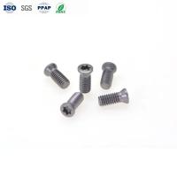 China M1.6-M8 High Strength 12.9 Grade Steel Screws for Cutting Tools Precision Fasteners for sale