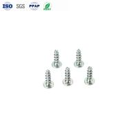 China Custom Stainless Steel Phillips Pan Head Self Tapping Wood Screws M0.6-M36mm 1-600mm A2-70 Grade for sale