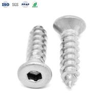 China Hexagonal Head Style Custom Screws with Multi-Standard Compliance and Custom Material Options for Automobile Fasteners for sale