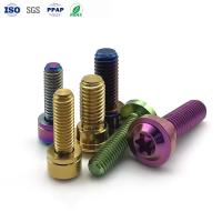 China Custom Non-Standard Cold Heading Screws in Stainless Steel for Corrosion Resistant Applications for sale