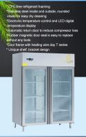 China Commercial Grade Upright Chiller for Industrial Cooling Needs for sale