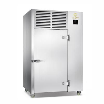 China 15 Trays Blast Chiller Freezer Cabinet 2700W Air Cooling Industrial Refrigeration Equipment for sale