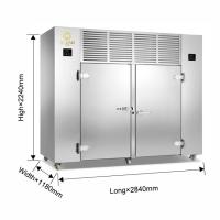 China Professional Cold Storage Refrigeration Unit with 15 Trays for Precise Temperature Control Blast Chiller&Freezer Cabinet for sale