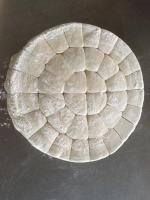 China Hydraulic Dough Dividing Machine GLDK-20 | 380V Electric Bakery Equipment | 100-800g Capacity for sale
