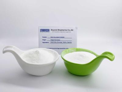 China White Fish Collagen Powder 1000 Dalton Molecular Weight for Tablets & Capsules Manufacturing for sale