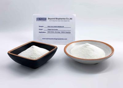 China White Marine Fish Collagen Powder with ≥90% Protein Content and ≤1500 Dalton Molecular Weight for Skincare and Supplements for sale