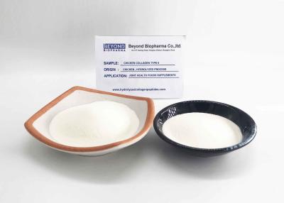 China Chicken Collagen Type II Powder with 25% Mucopolysaccharides for Joint Health Supplements for sale
