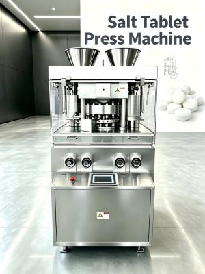 China Water Treatment Small Tablet Press 100kN Anti Corrosion Compression Machine In Pharma for sale