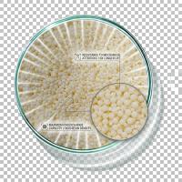 China ACD-500 Chelating Resin Deionized Water Pretreatment Demineralization Power Plant High Purity 99% for sale
