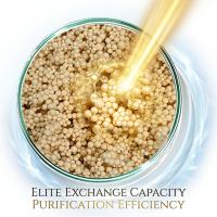 China ACD-200 Thiourea Chelating Resin High Adsorption Capacity Precious Metal Recovery Mining Industry for sale