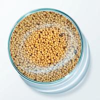 China Sphelite ASD-35 Primary Amine Resin Direct Air Capture for Ambient CO2 Adsorption for sale