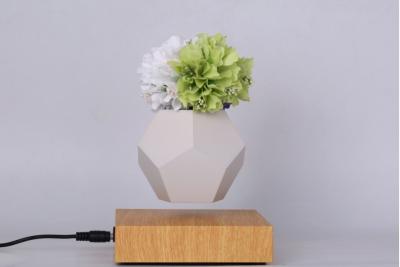China hotsale magnetic levitate floating bottom air bonsai pot planter tree for sale