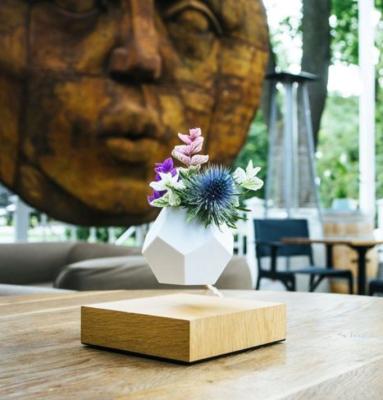 China Creative Design Levitation Bonsai ,floating plant pot ,magnetic levitation platform base for sale