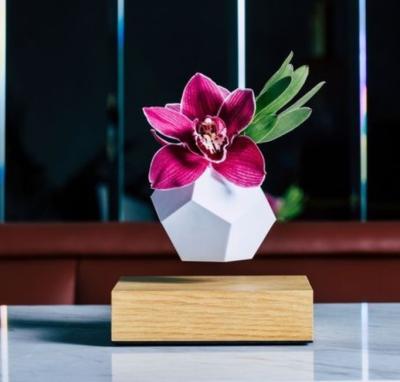 China Creative Design Levitation Bonsai ,floating plant pot ,magnetic levitation platform base for sale