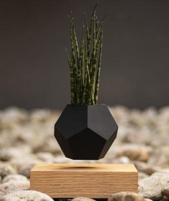 China Creative Design Levitation Bonsai ,floating plant pot ,magnetic levitation platform base for sale