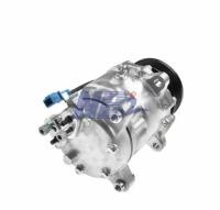 China OEM 6N0820803C TSP0159243 car air compressor For Volkswagen Lupo SD6V12 12V for sale