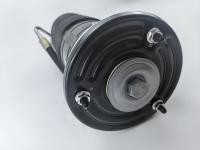 China Front Left Or Right Hydraulic Shock Absorber For Mercedes-Benz S-Class W221 for sale