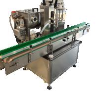 China Automatic 2 Heads Servo Rotor Pump Viscous Liquid Paste Filler Tracking Filling Machine for Salad Dressing Mayonnaise for sale