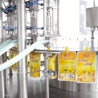 China Automatic Liquid Packaging Production Laundry Detergent Spout Pouch Filling Capping Machine for Daily Chemical Factory for sale